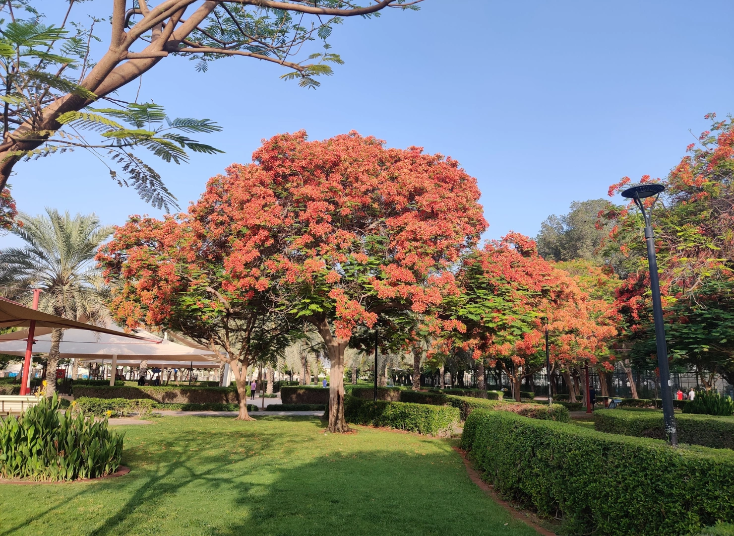 Area Guide for Al Twar 4